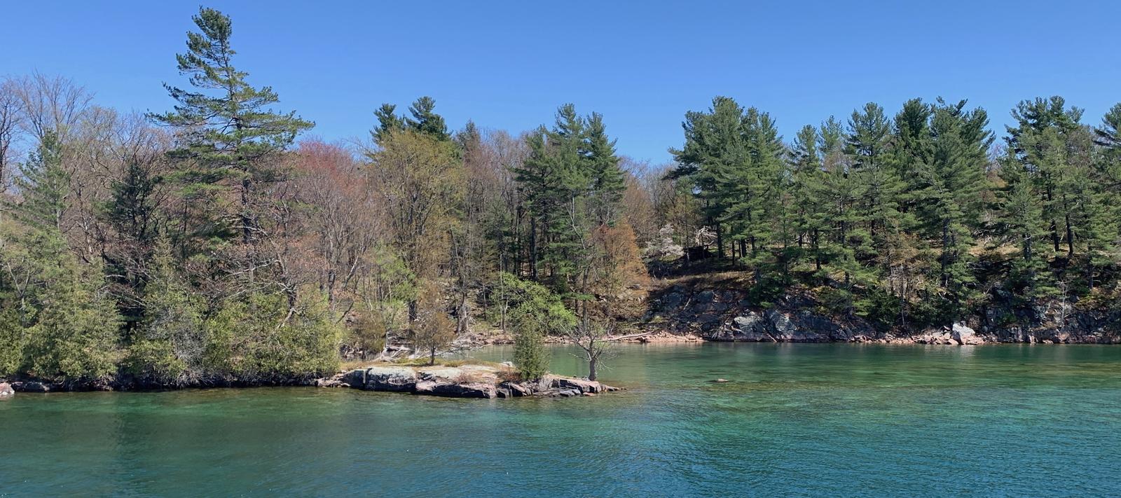 The Wings of Poppy Pendleton