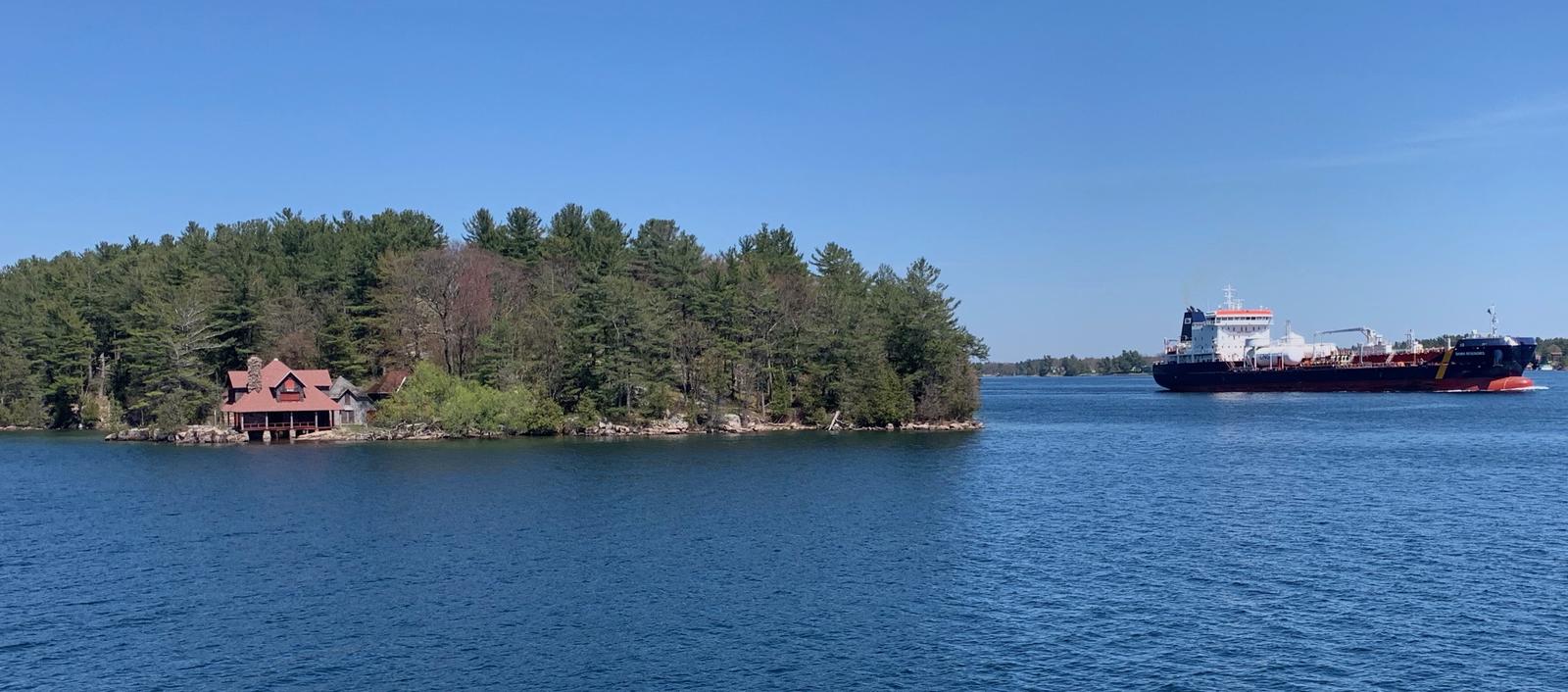 The Wings of Poppy Pendleton